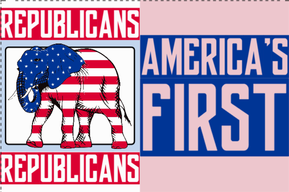 Political Yard Signs - Custom Lawn Signs - Ships Overnight