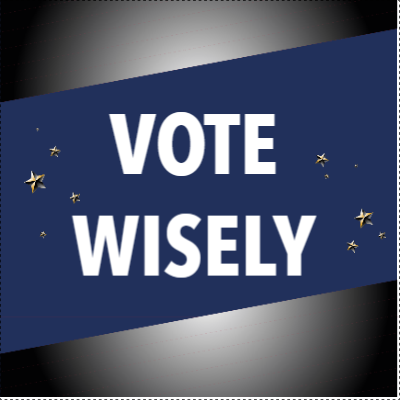 Custom Outdoor Yard Signs Multiple Sizes Vote Wisely - YardSignPlus